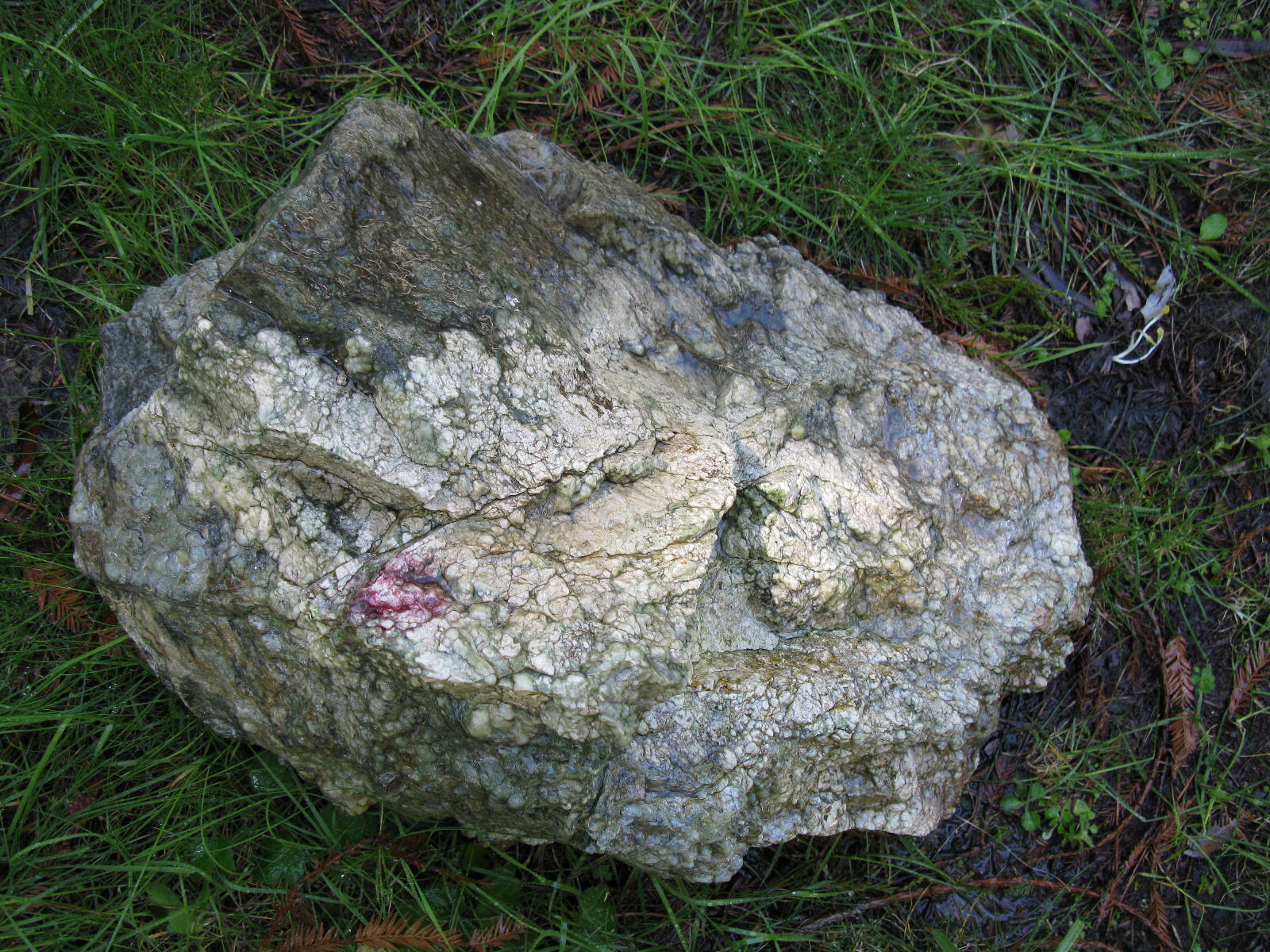 Suiseki .com - Celtic Section - Stones for sale, Lapidary - The Art of ...