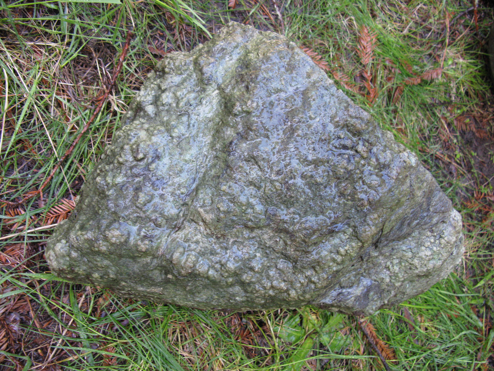 Suiseki .com - Celtic Section - Stones for sale, Lapidary - The Art of ...