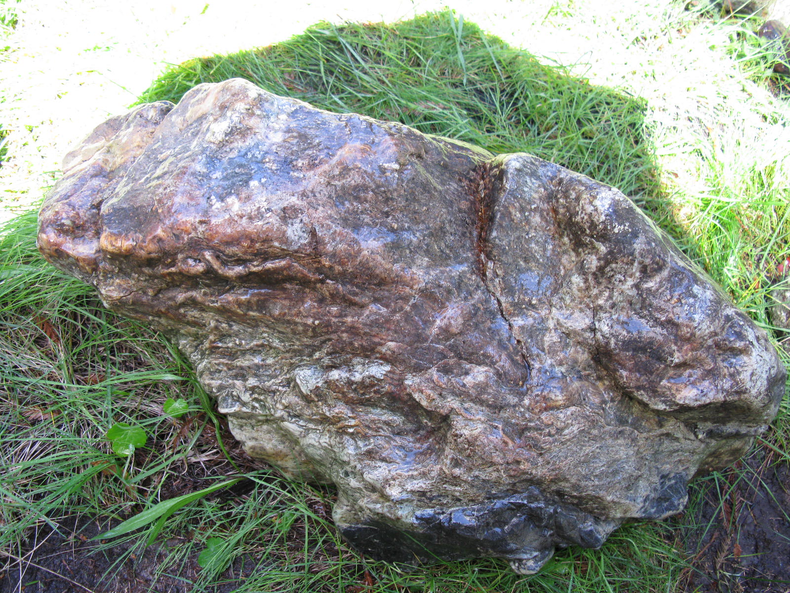 Suiseki .com - Celtic Section - Stones for sale, Lapidary - The Art of ...