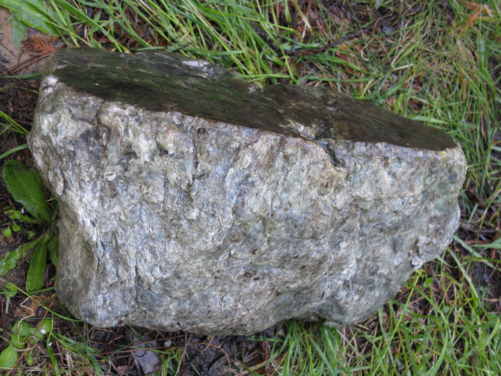 Suiseki .com - Celtic Section - Stones for sale, Lapidary - The Art of ...